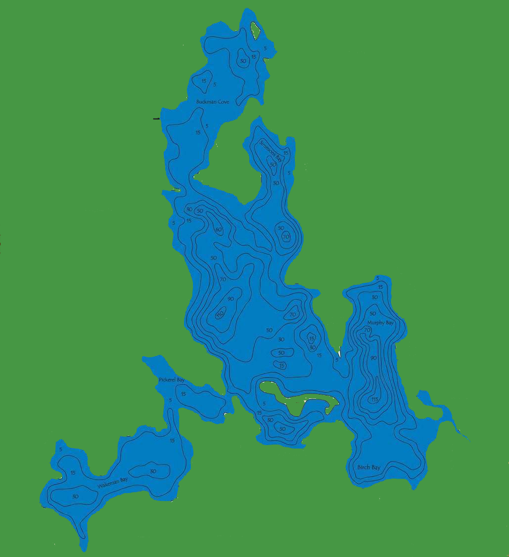 The Wabana Lake Family Trust – Forest & Lakeshore Stewardship; a Family ...